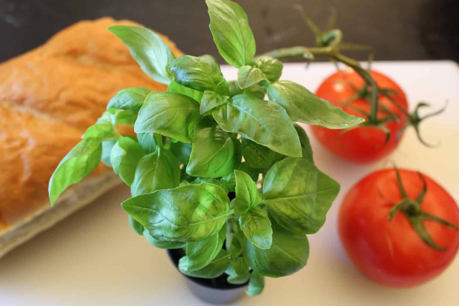 Authentic Italian Bruschetta - SmartyPantsKitchen