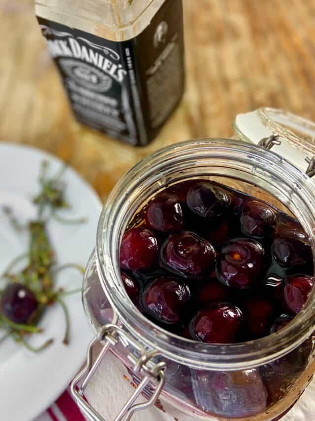Cherry Bounce Recipe - SmartyPantsKitchen